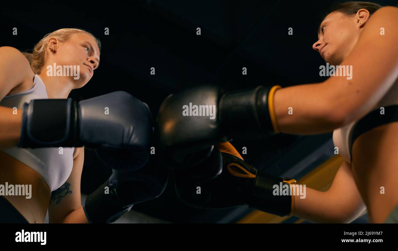 From below horizontal shot of two Caucasian women starting sparring match greeting each other ...