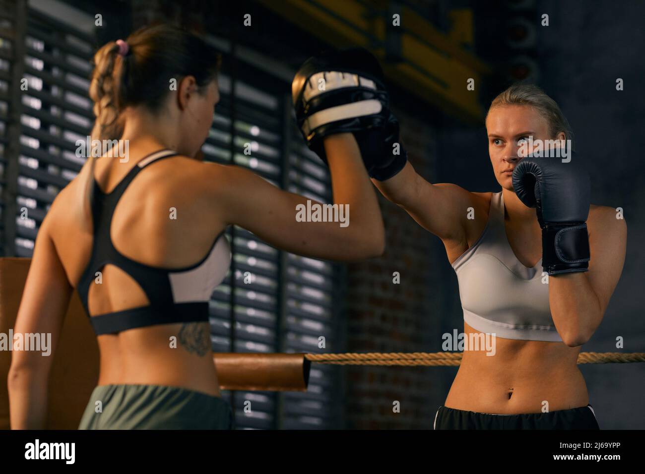 Young strong woman having boxing workout with her trainer on squared ring horizontal shot Stock ...