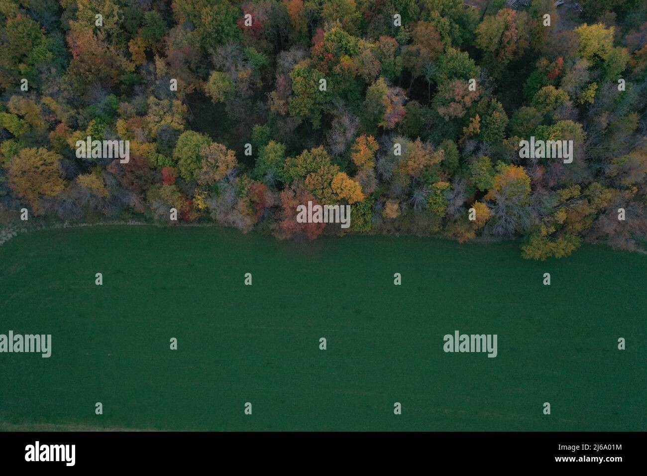 Northern Wisconsin Fall Colors Aerial View Top Down Stock Photo - Alamy