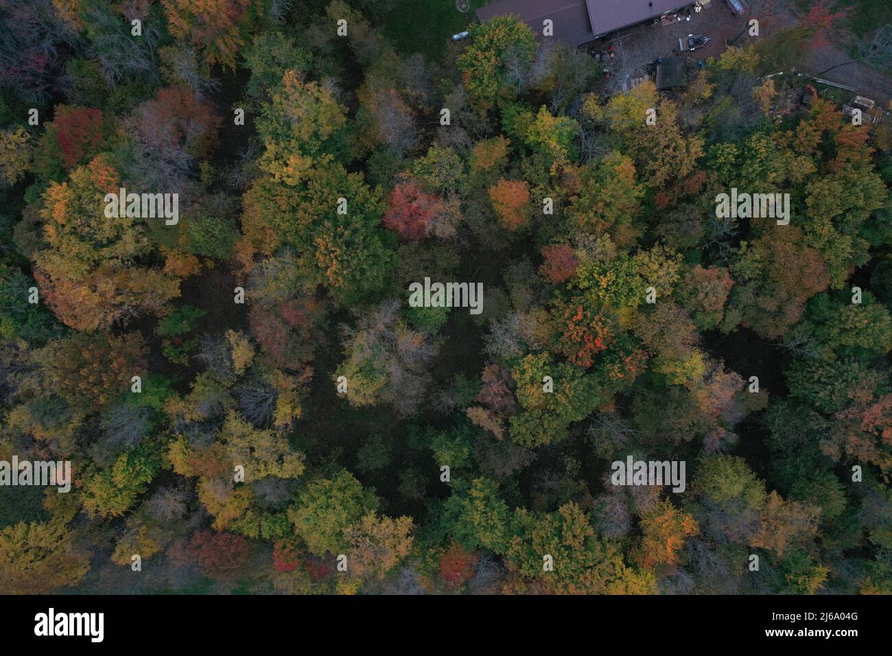 Northern Wisconsin Fall Colors Aerial View Top Down Stock Photo - Alamy