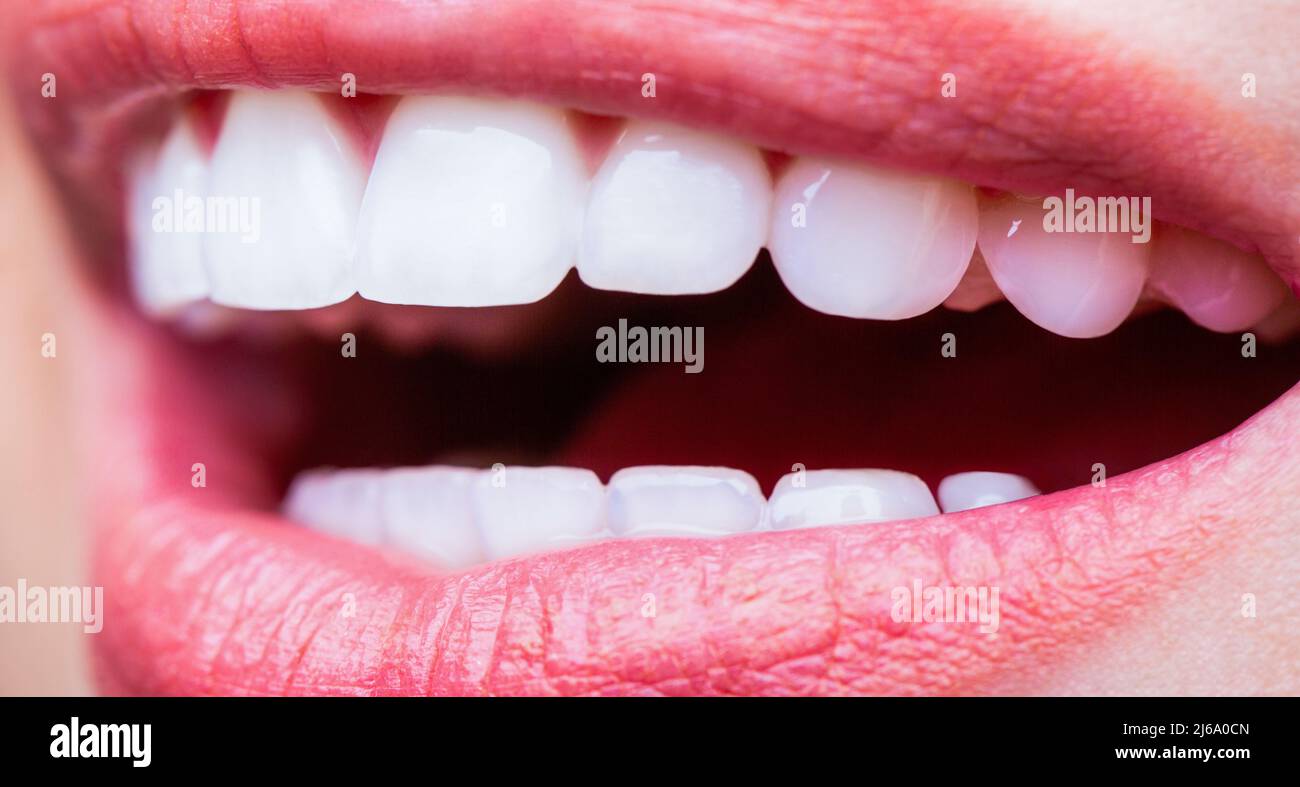 Dental care. Dentistry concept. Perfect healthy teeth. Closeup shot of ...