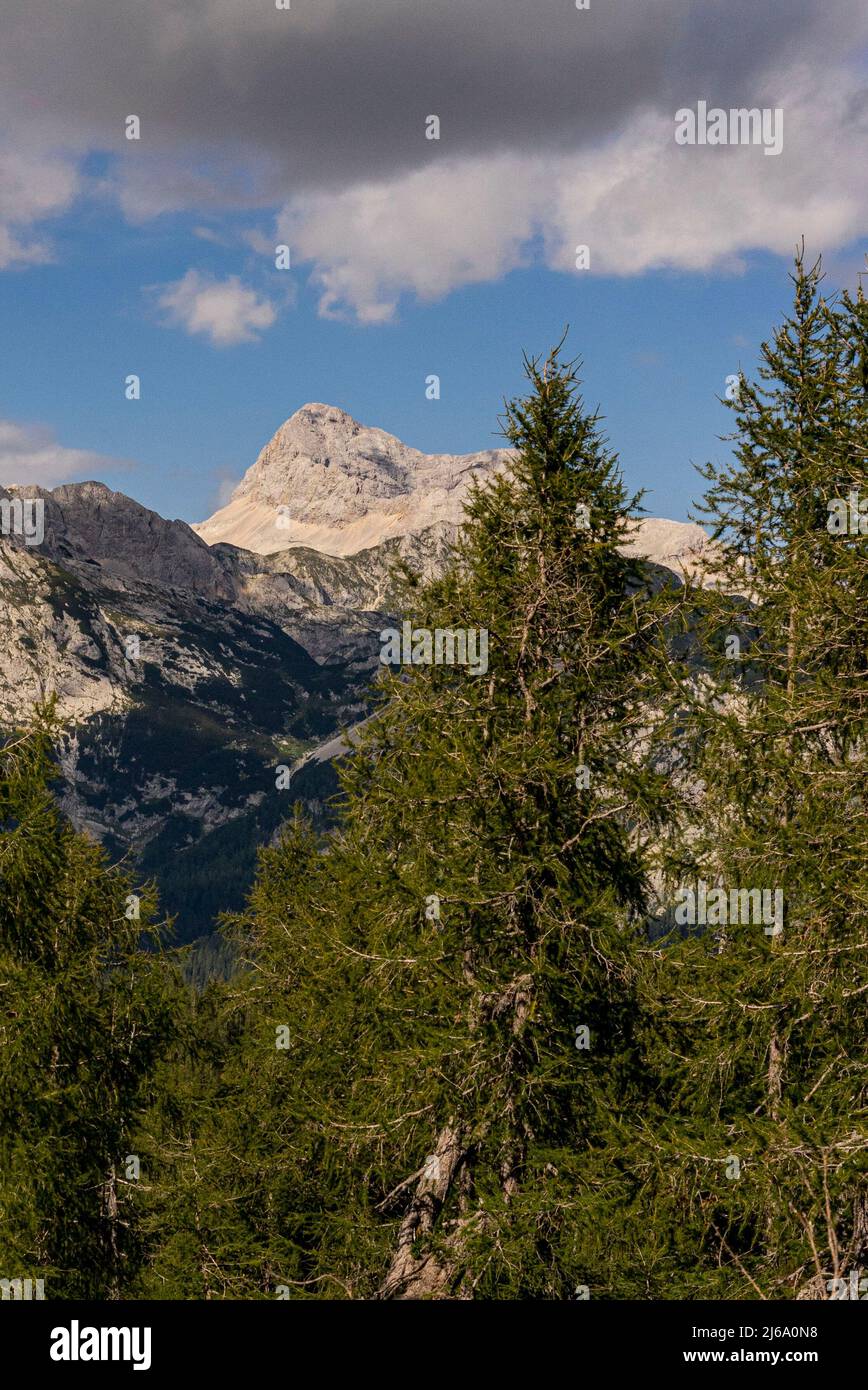 Triglav symbol hi-res stock photography and images - Alamy