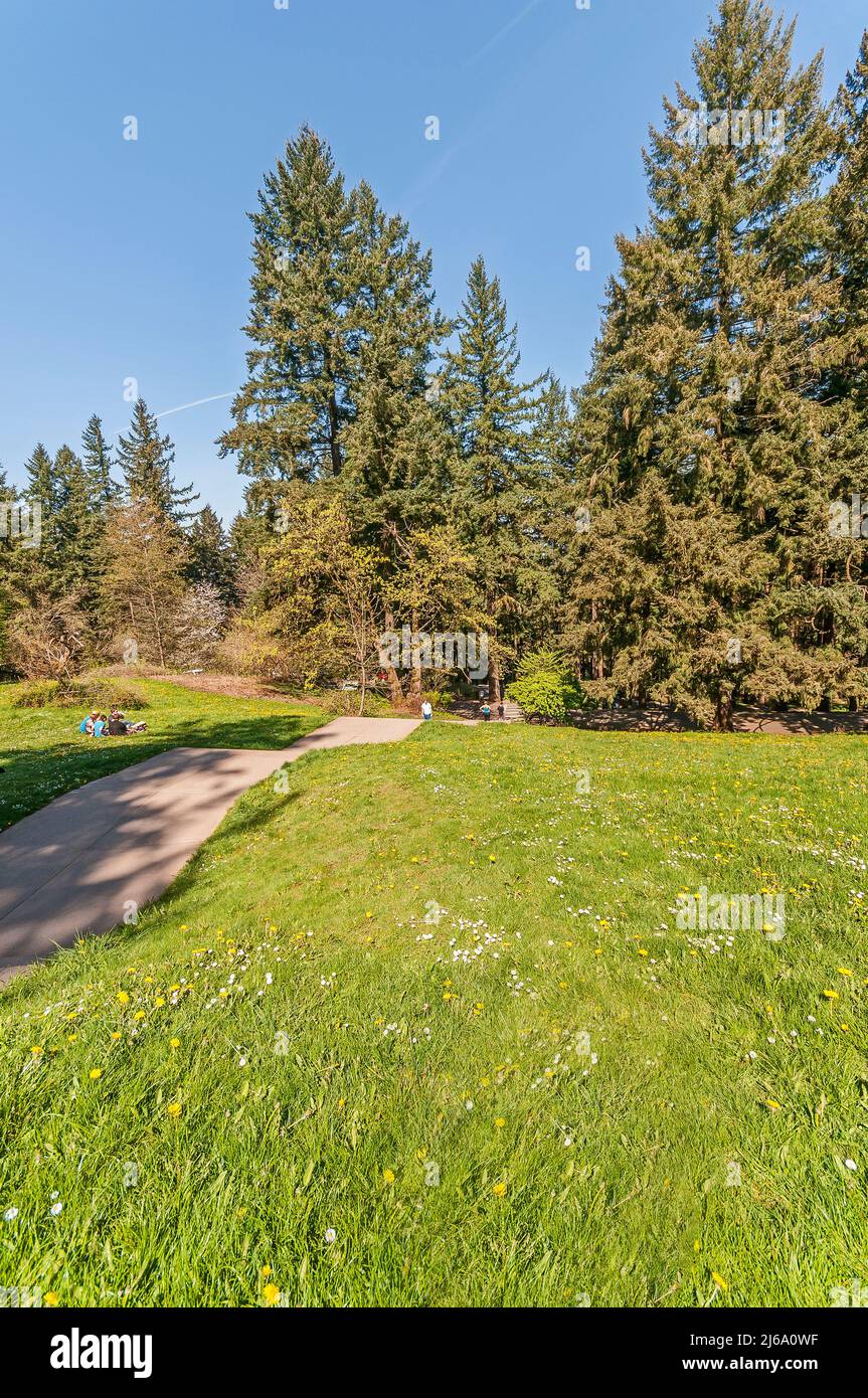 People enjoying Mt.Tabor Park in Portland, Oregon Stock Photo - Alamy