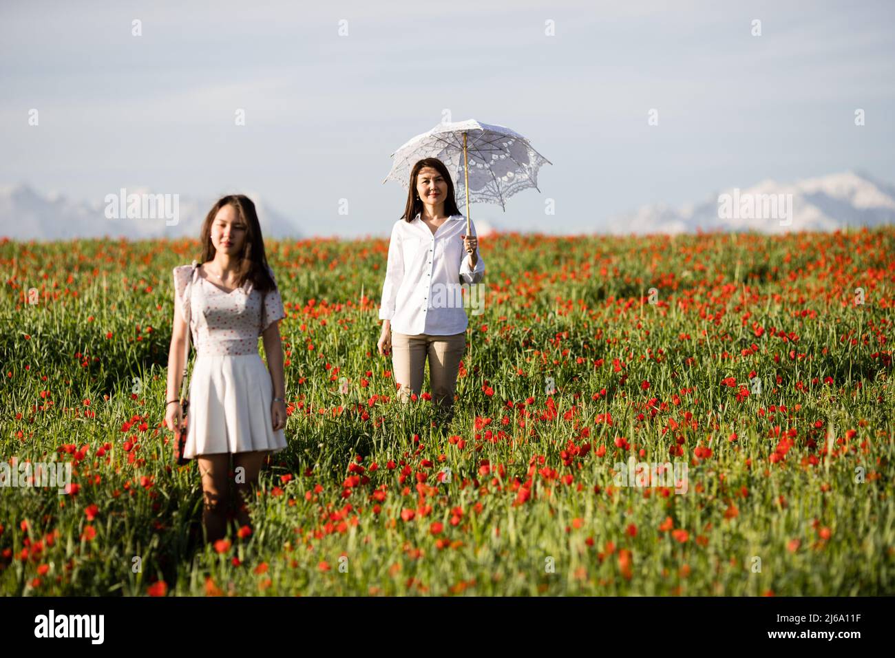 Poppy fields near Leninskoe village near the city of Bishkek in Kyrgyzstan Stock Photo - Alamy