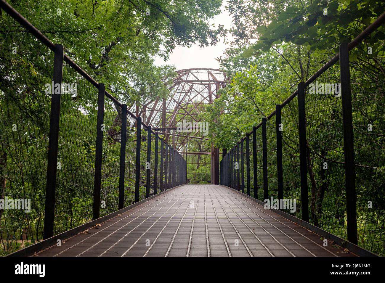 Pease Park, Austin, Texas featuring new Treehouse Stock Photo - Alamy