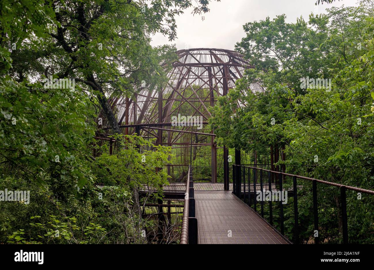 Pease Park, Austin, Texas featuring new Treehouse Stock Photo - Alamy