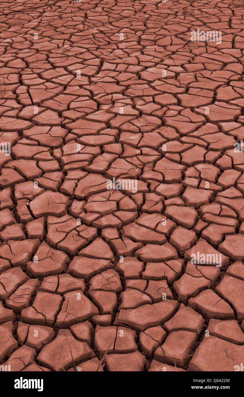 Harsh arid environment hi-res stock photography and images - Alamy