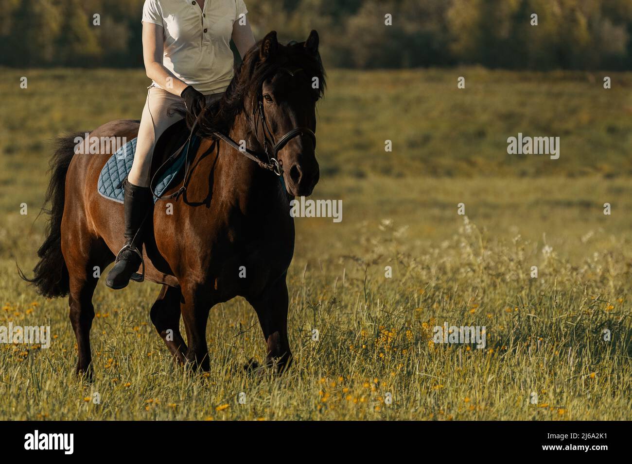Mature Woman Riding Horse Hi Res Stock Photography And Images Alamy