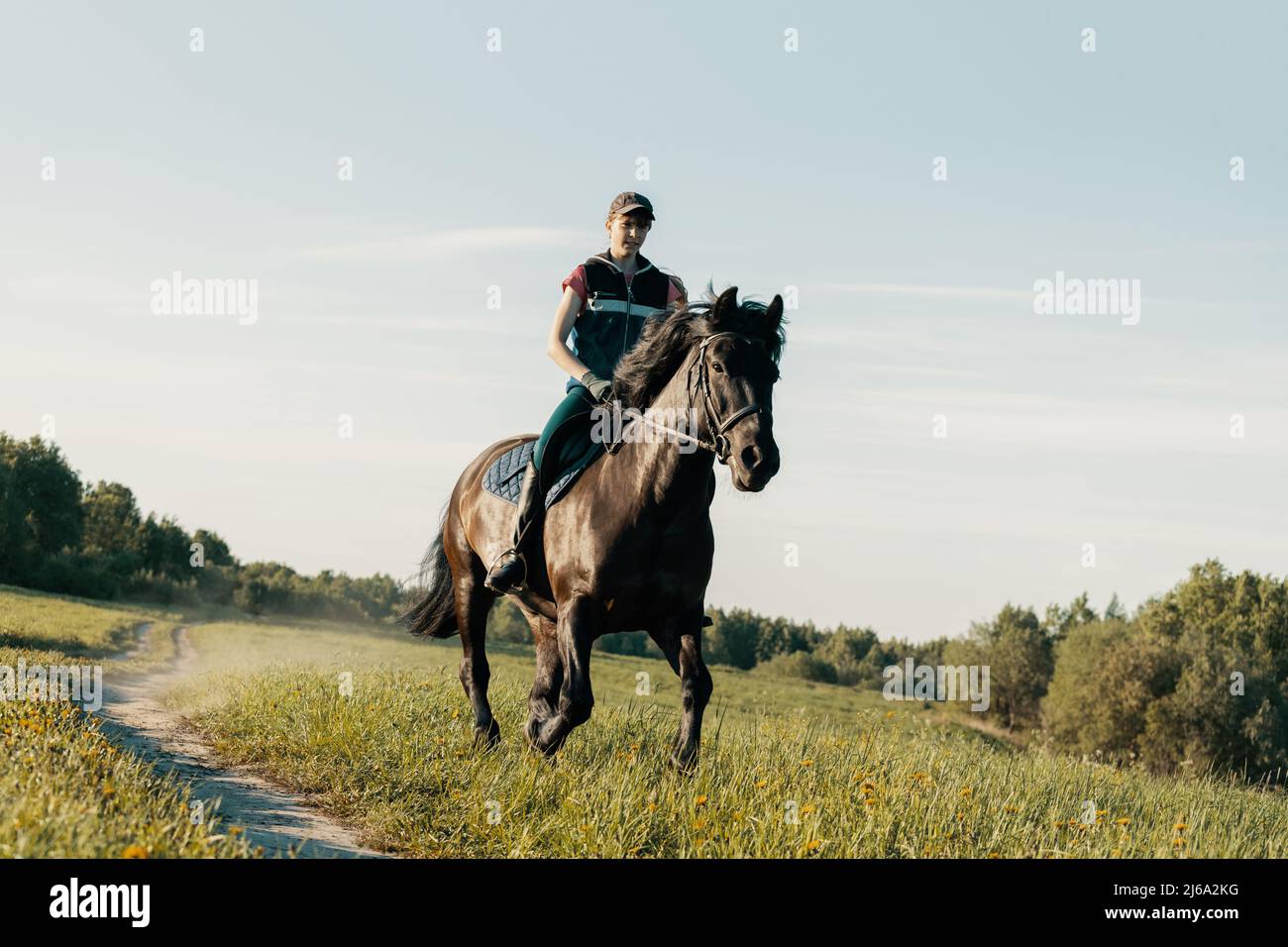 Young rider galloping on horse on country road Stock Photo - Alamy