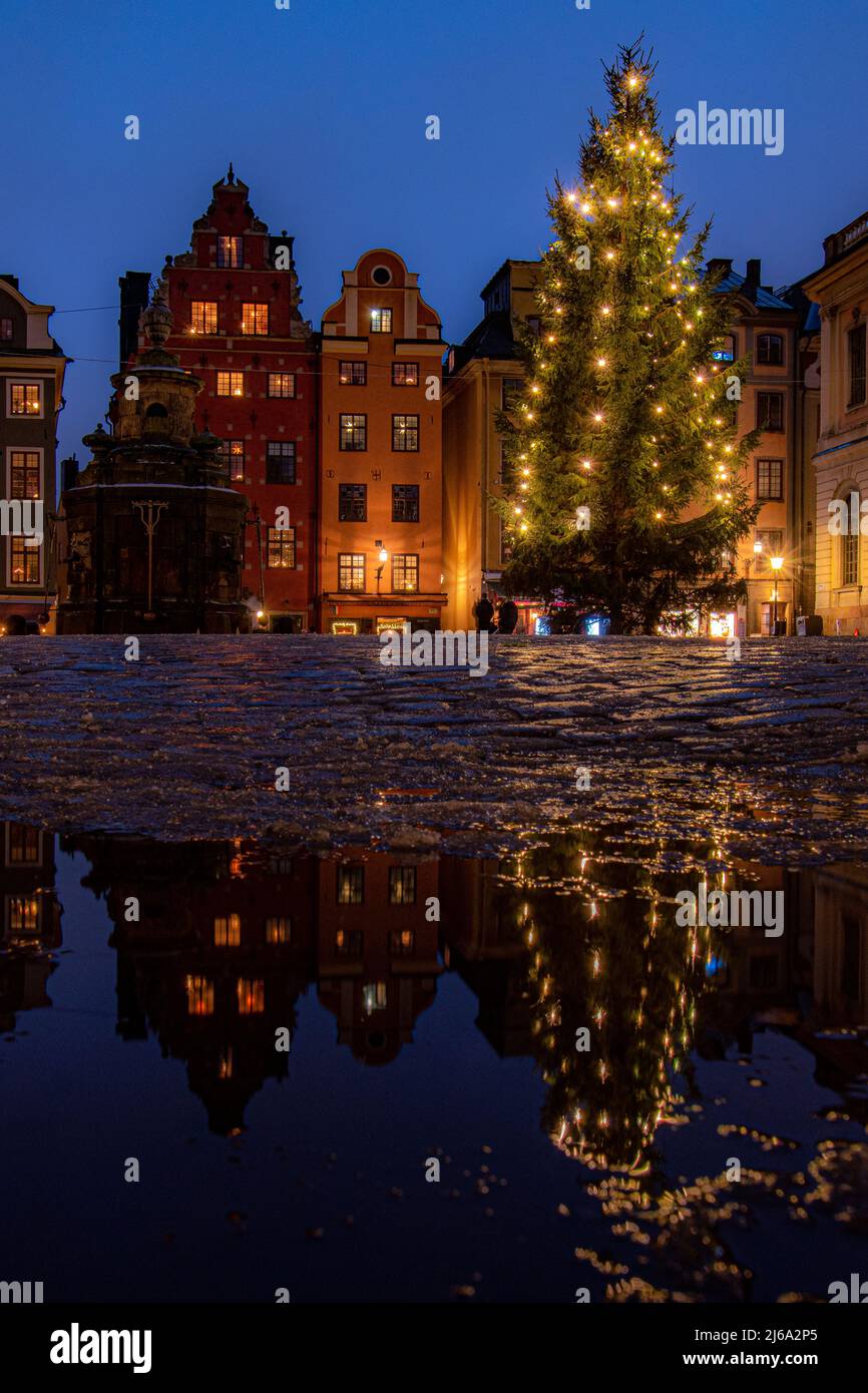 Christmas Tree in Gamla Stan Stockholm Sweden Stock Photo - Alamy