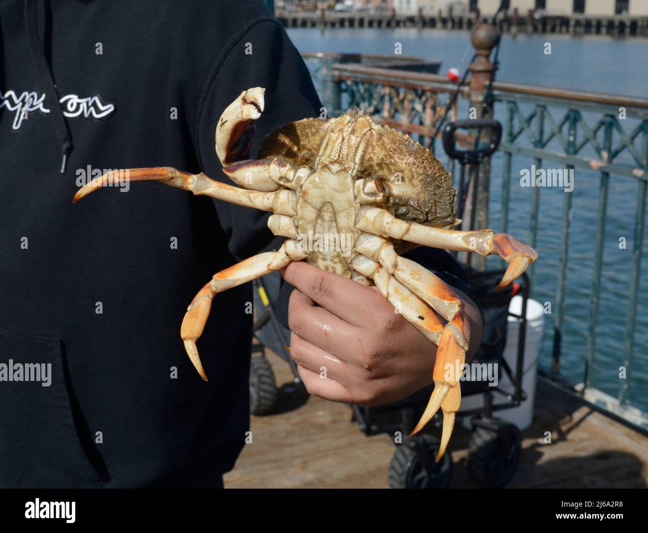 Crab Fishing San Francisco