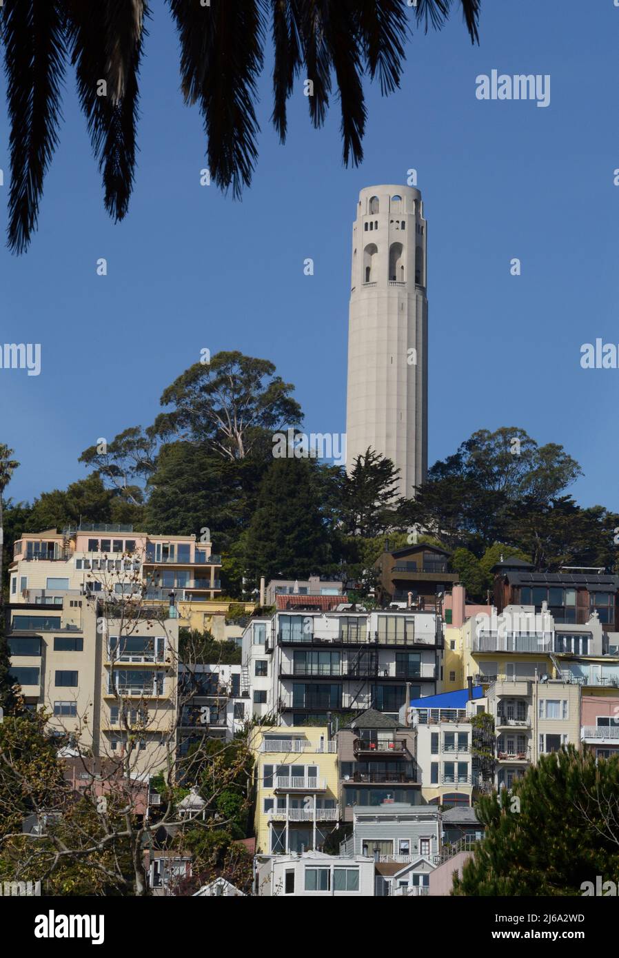 Coit Tower, a public observation tower offering panoramic views, in the ...