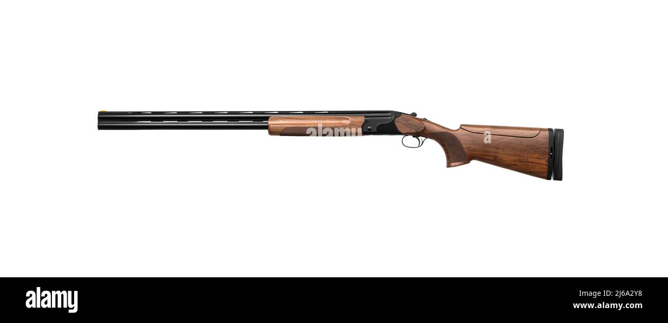 Double Barreled Tonfa Gun