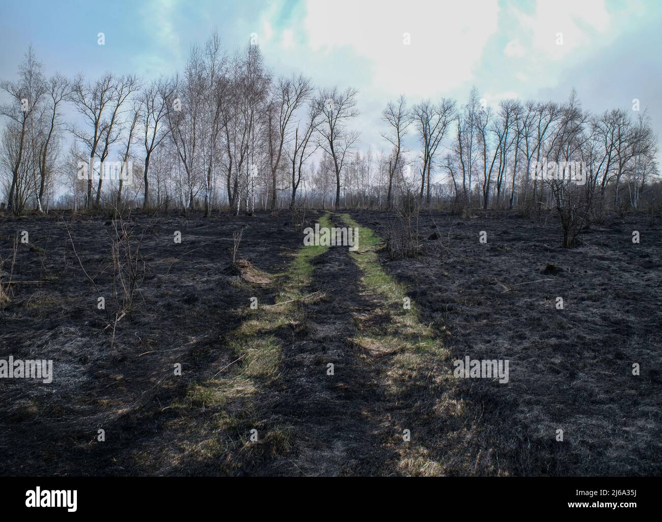 Landscape with scorched grass Stock Photo - Alamy