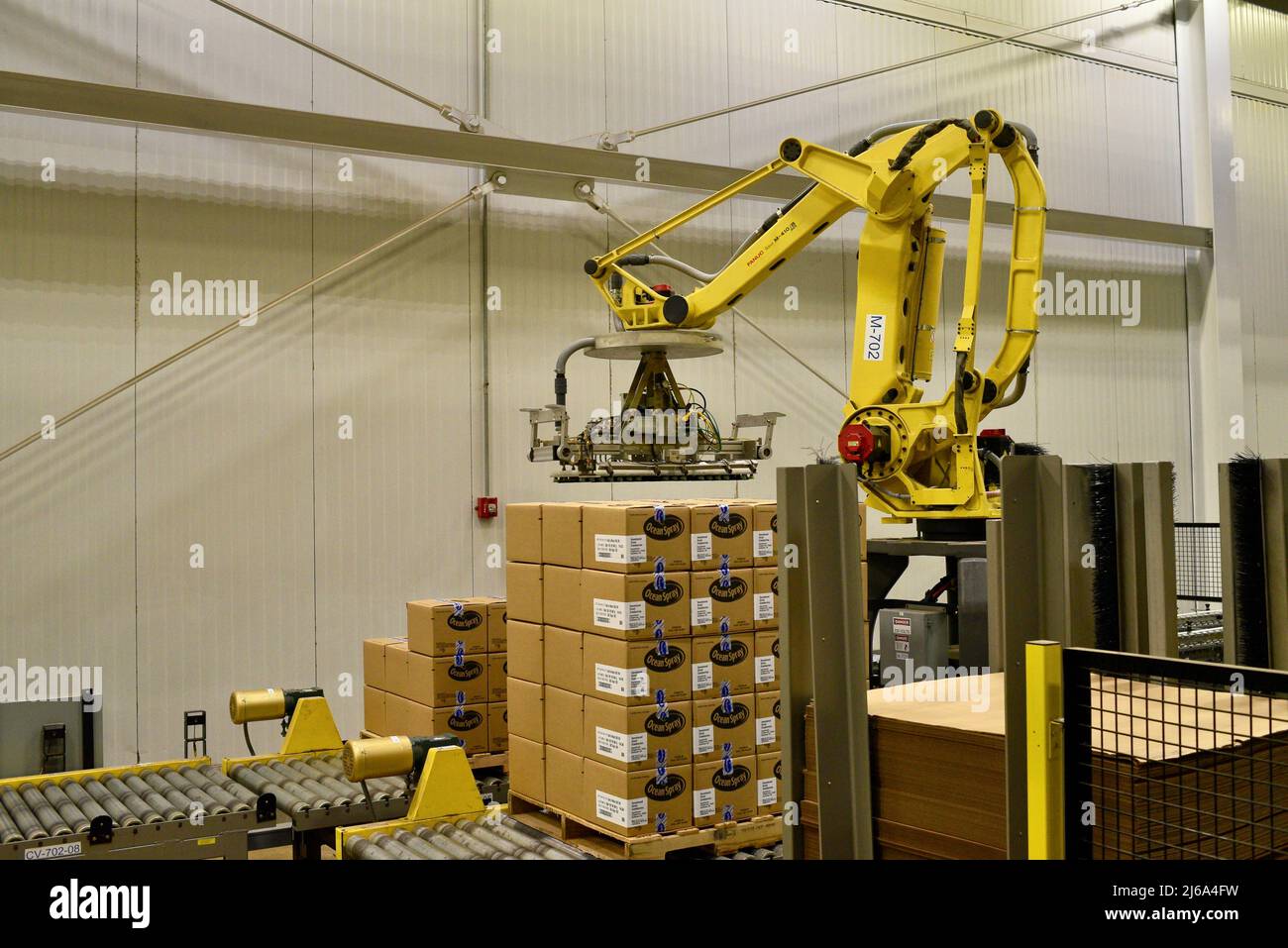 Robotic machine stacking pallet of cranberry juice boxes in the modern ...