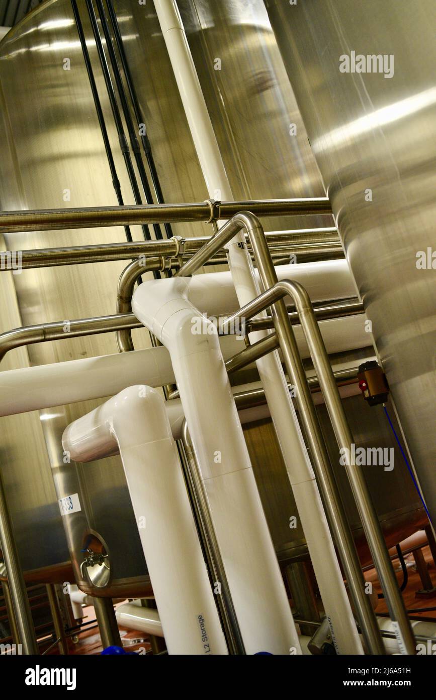 Processing of cranberries at the modern and state-of-the-art Ocean ...