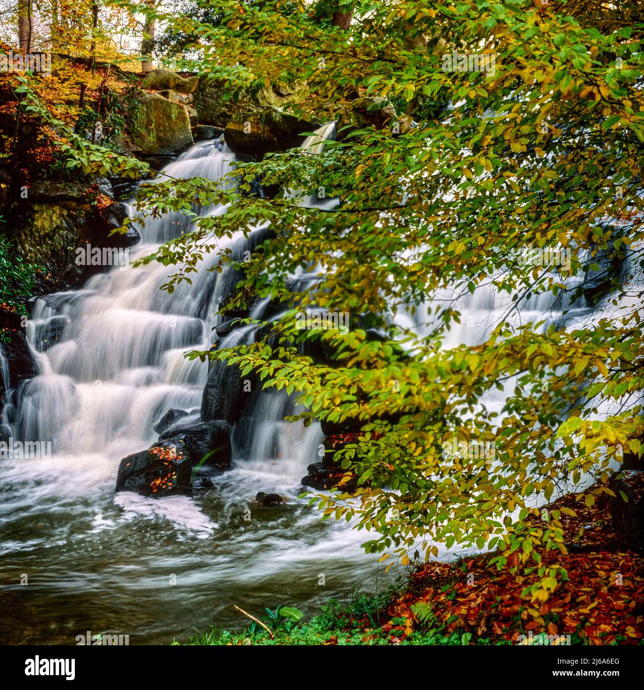 Waterfall at Virginia Water Stock Photo - Alamy