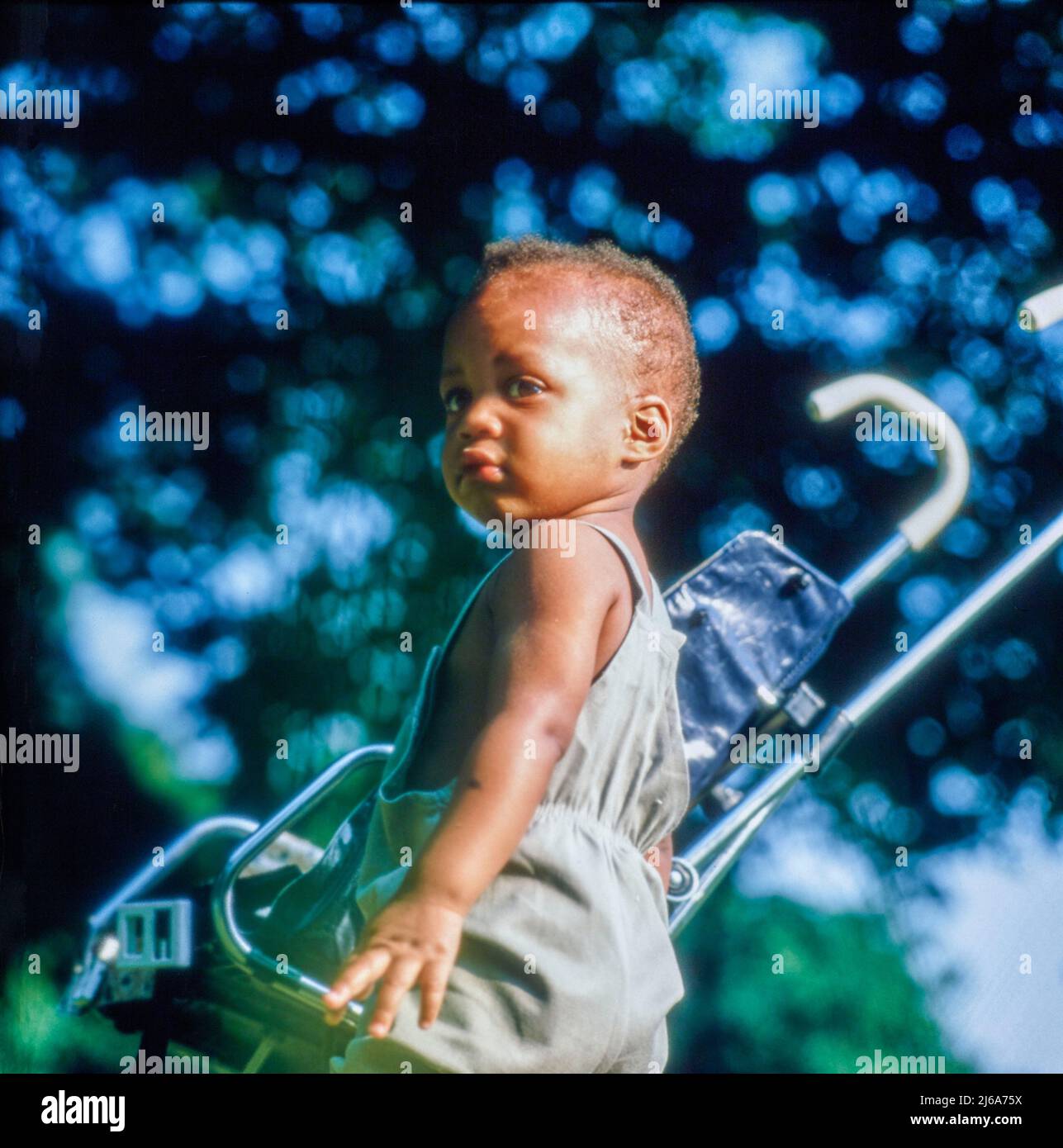 Afro-Caribbean toddler standing defiantly next to his fold up buggy ...