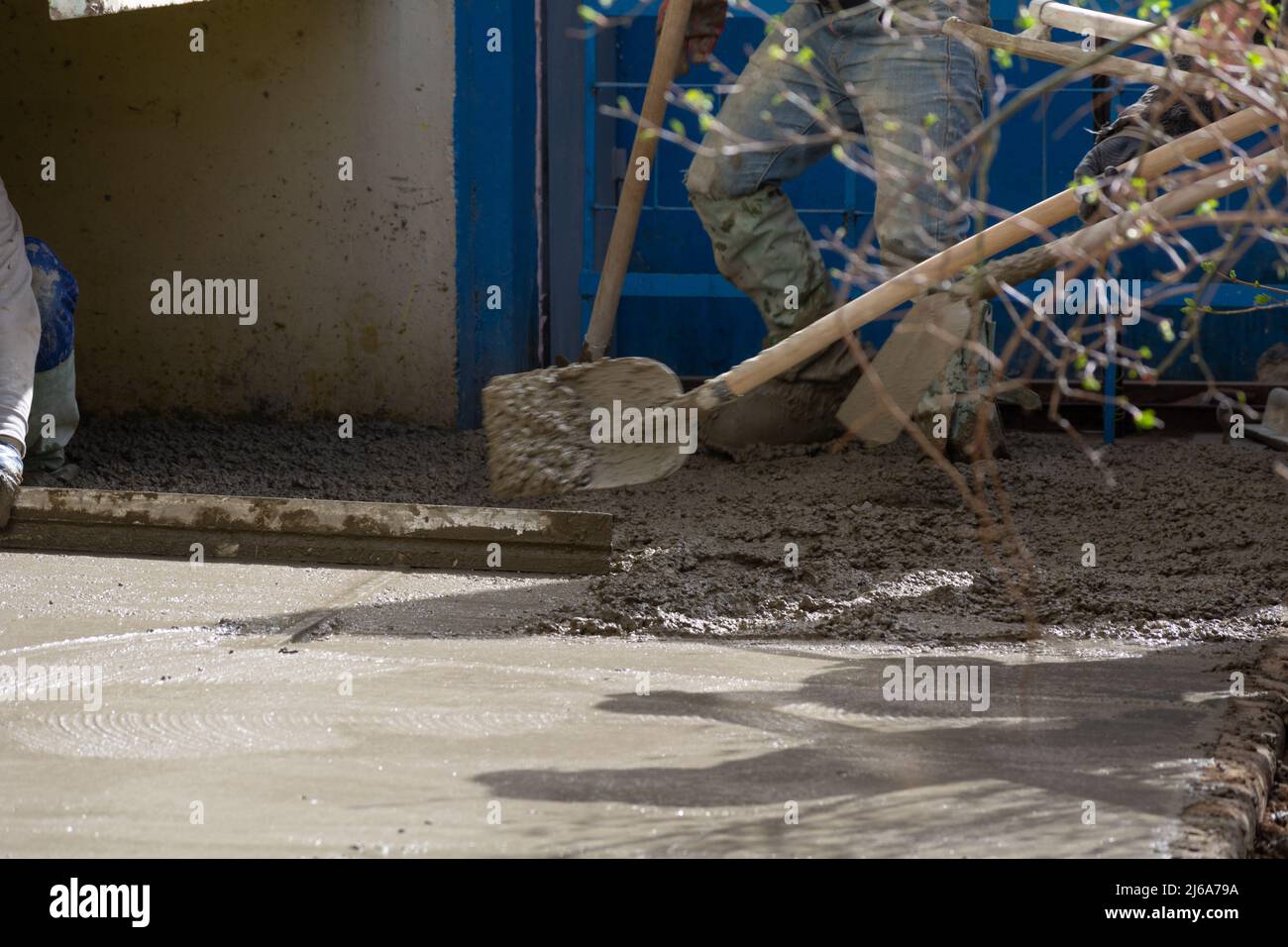 Construction workers aligns concrete screed. Construction, Foundation ...