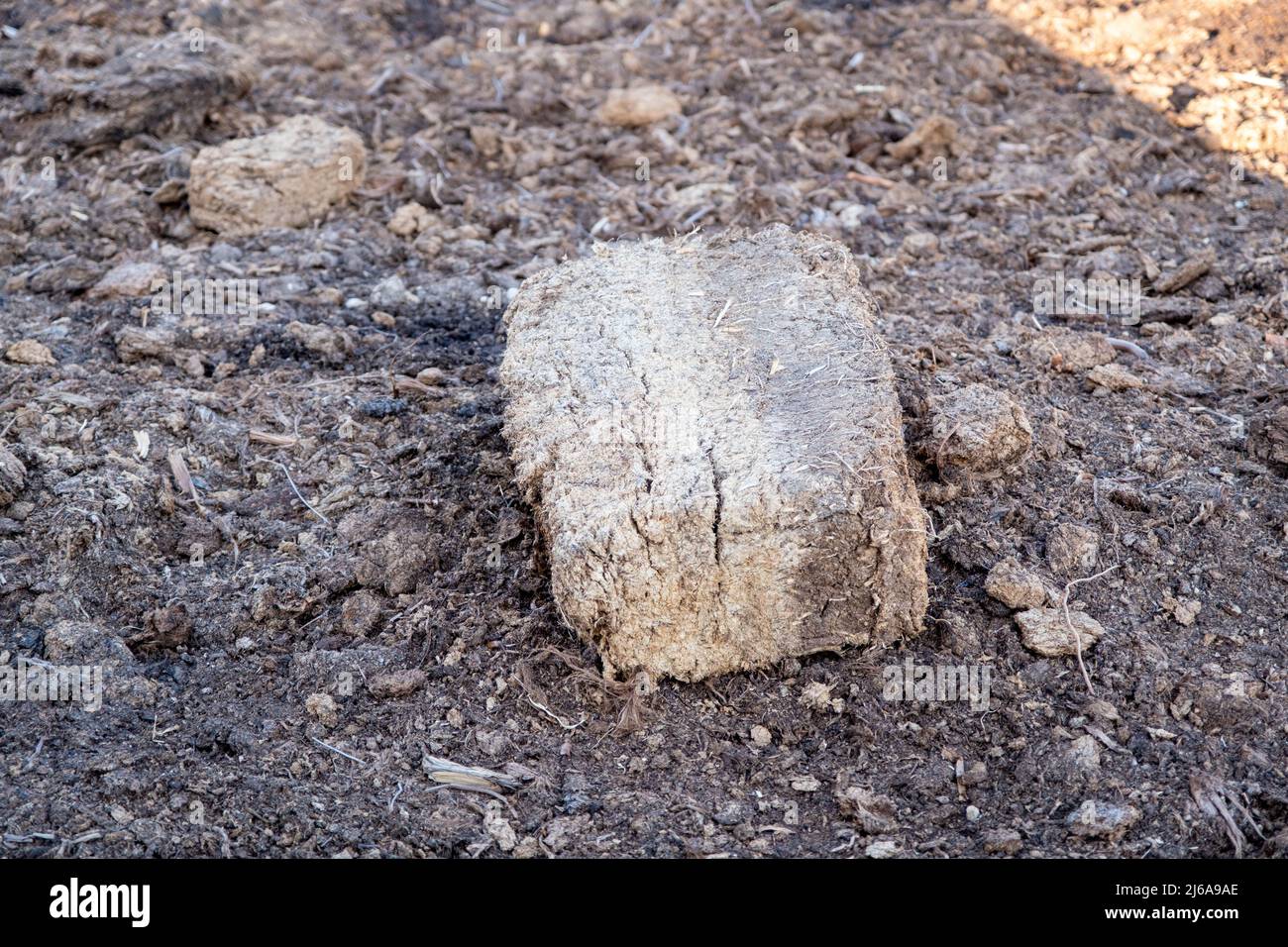 the peat block was obtained in a Latvian bog Stock Photo - Alamy