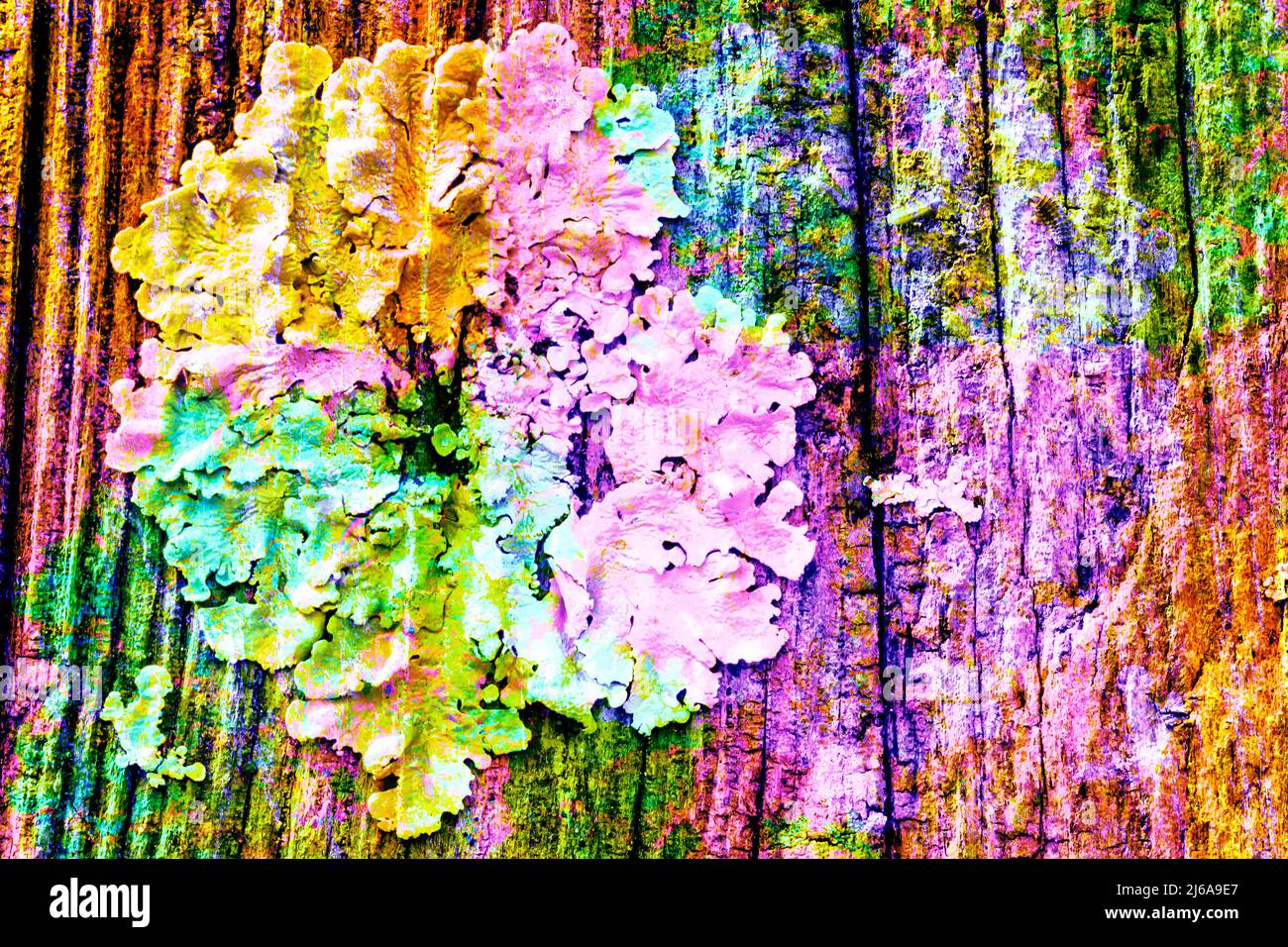 Abstract background or texture of many colors illustration Stock Photo ...