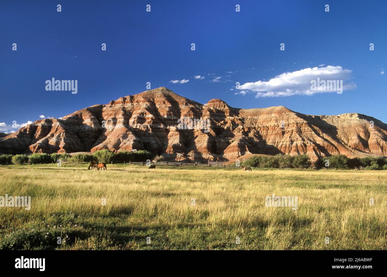 Casper wilderness park hi-res stock photography and images - Alamy