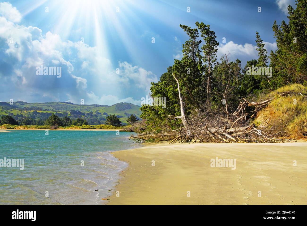 Scenic beautiful landscape with deserted island sand beach, green trees ...