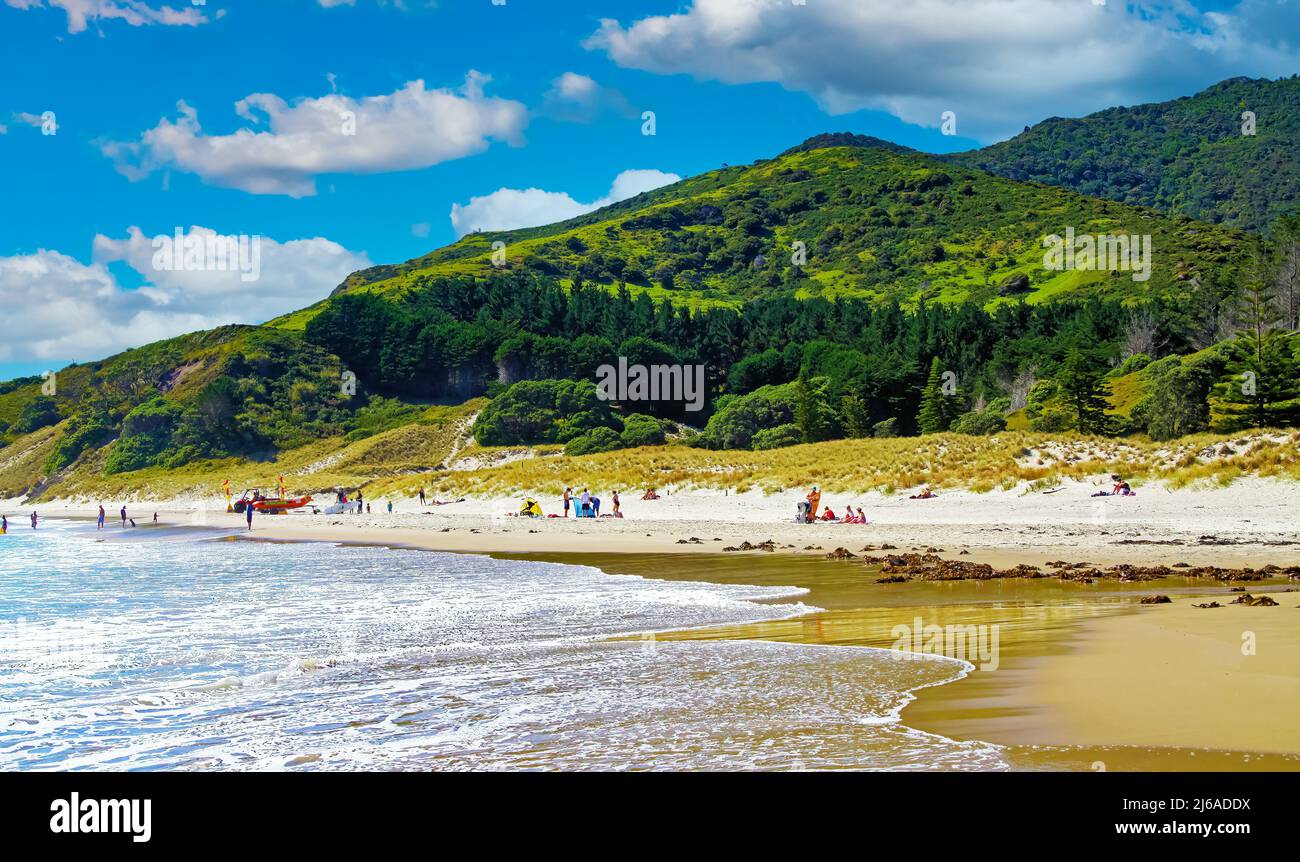 Idyllic sand beach at ocean bay, green mountains, blue sky - Pataua ...
