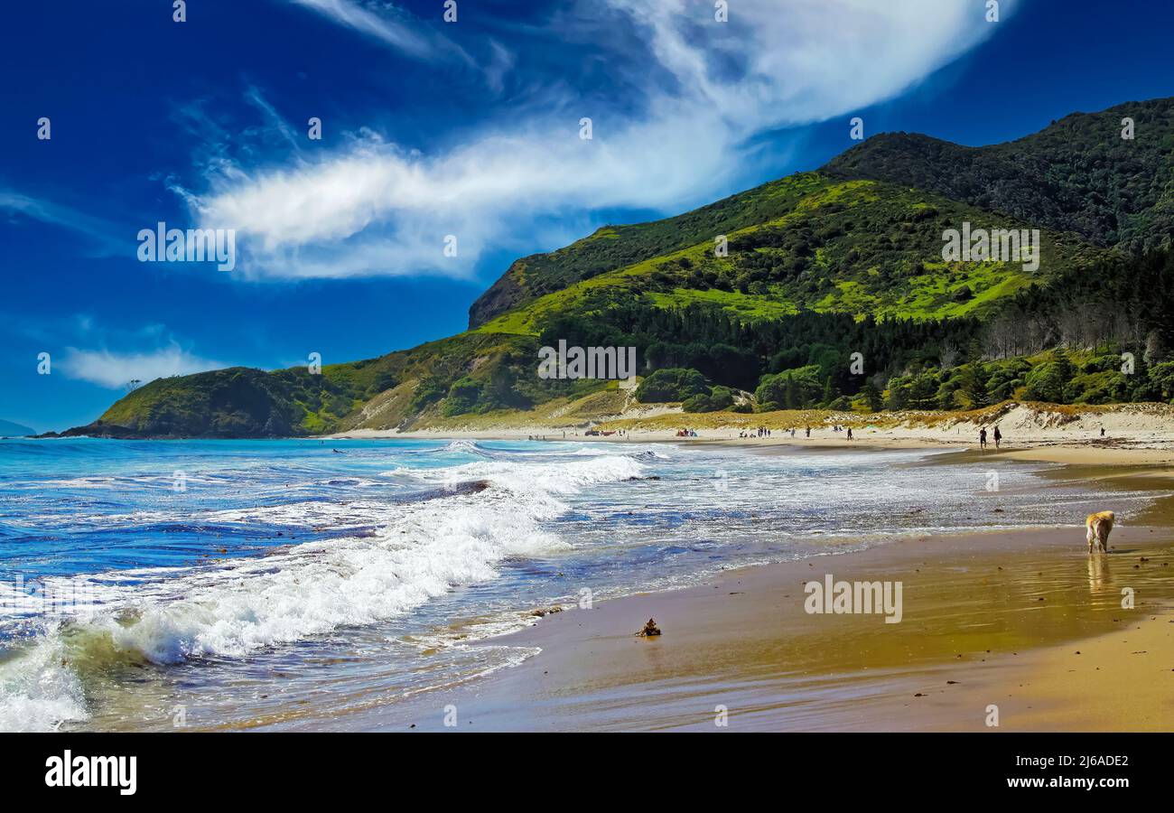 Pataua island hi-res stock photography and images - Alamy
