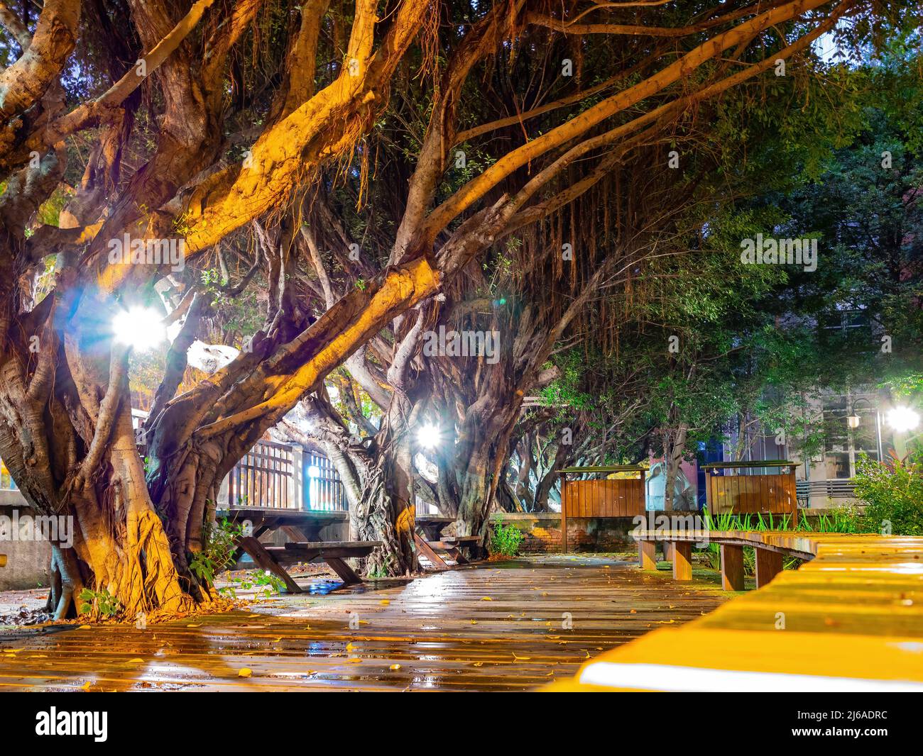 Night view of the NTU campus at Taipei, Taiwan Stock Photo - Alamy