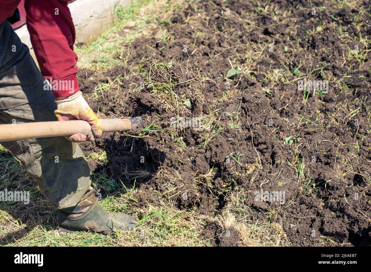 A man is digging a garden with a shovel. Garden work in spring ...