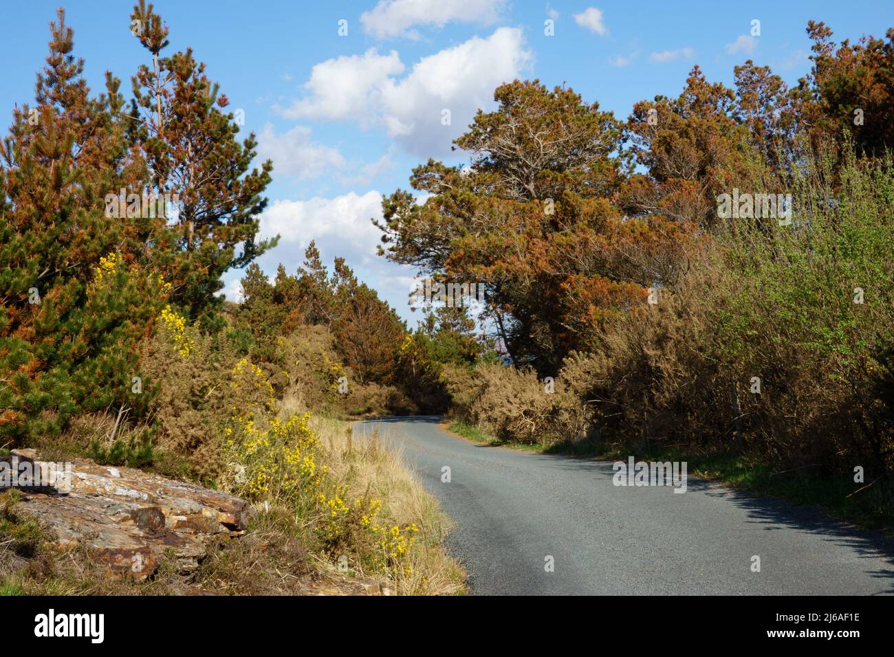 Maghery ireland hi-res stock photography and images - Alamy