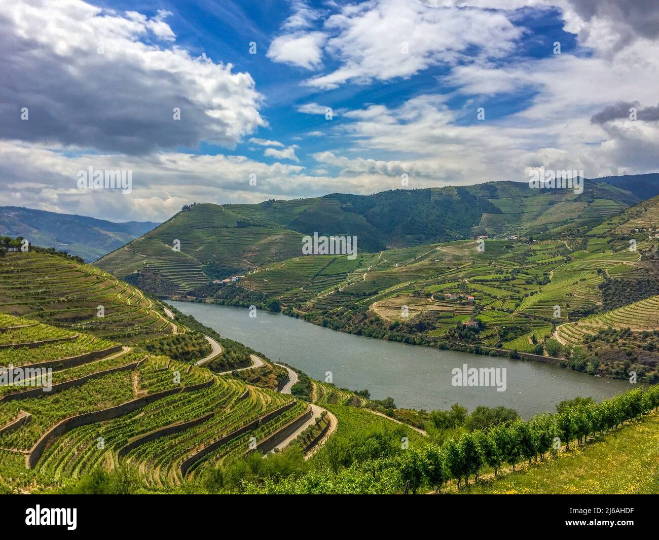 Douro valley summer trees hi-res stock photography and images - Alamy