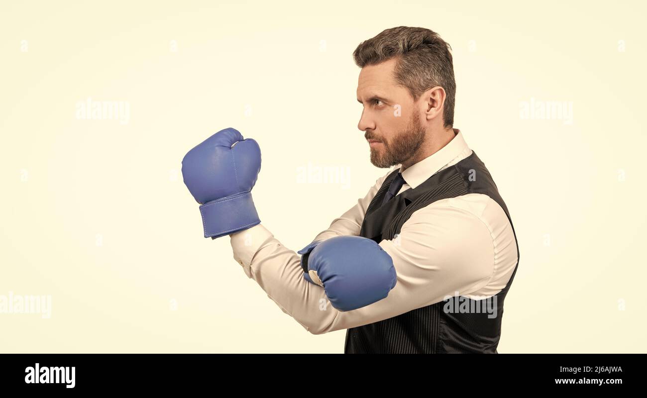 businessman in boxing gloves. punching. successful ceo boxer ...