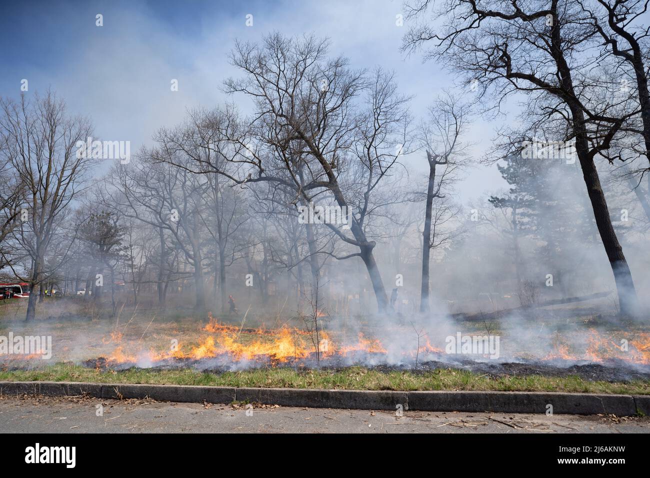 High park toronto burn hi-res stock photography and images - Alamy