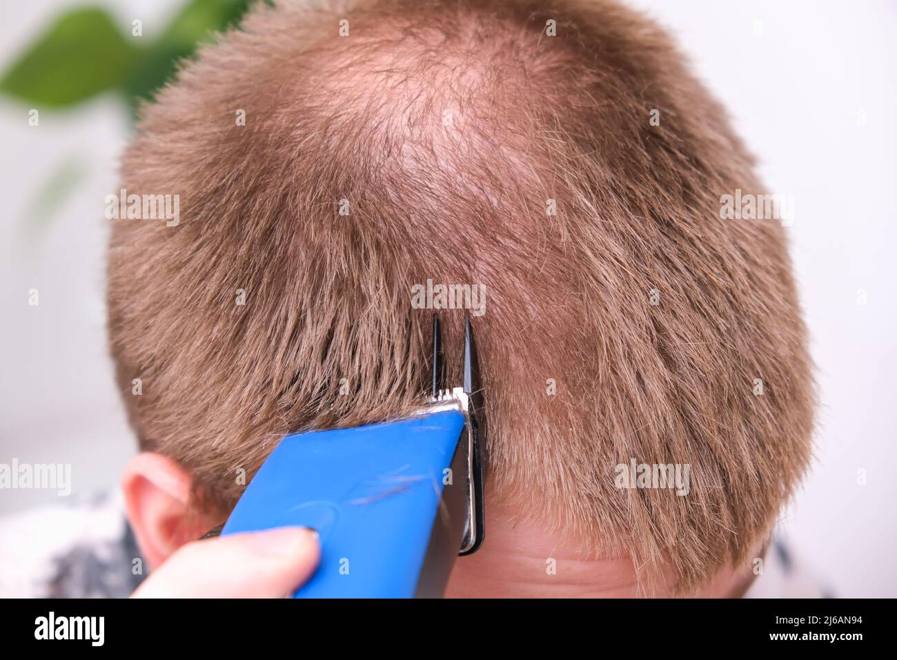 A man cuts his hair with a clipper. Cutting a short hairstyle at home ...