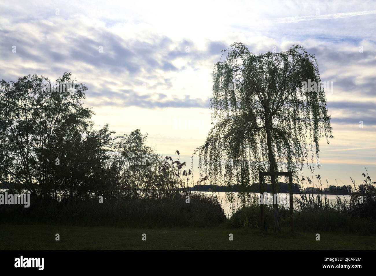 Nature scene sunset weeping willow hi-res stock photography and images ...