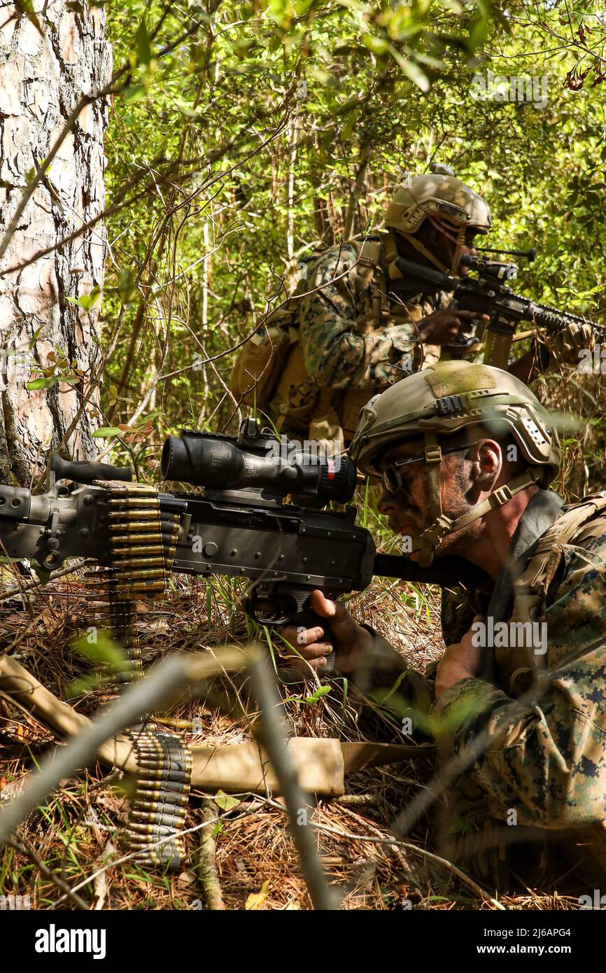 2d anglico hi-res stock photography and images - Alamy