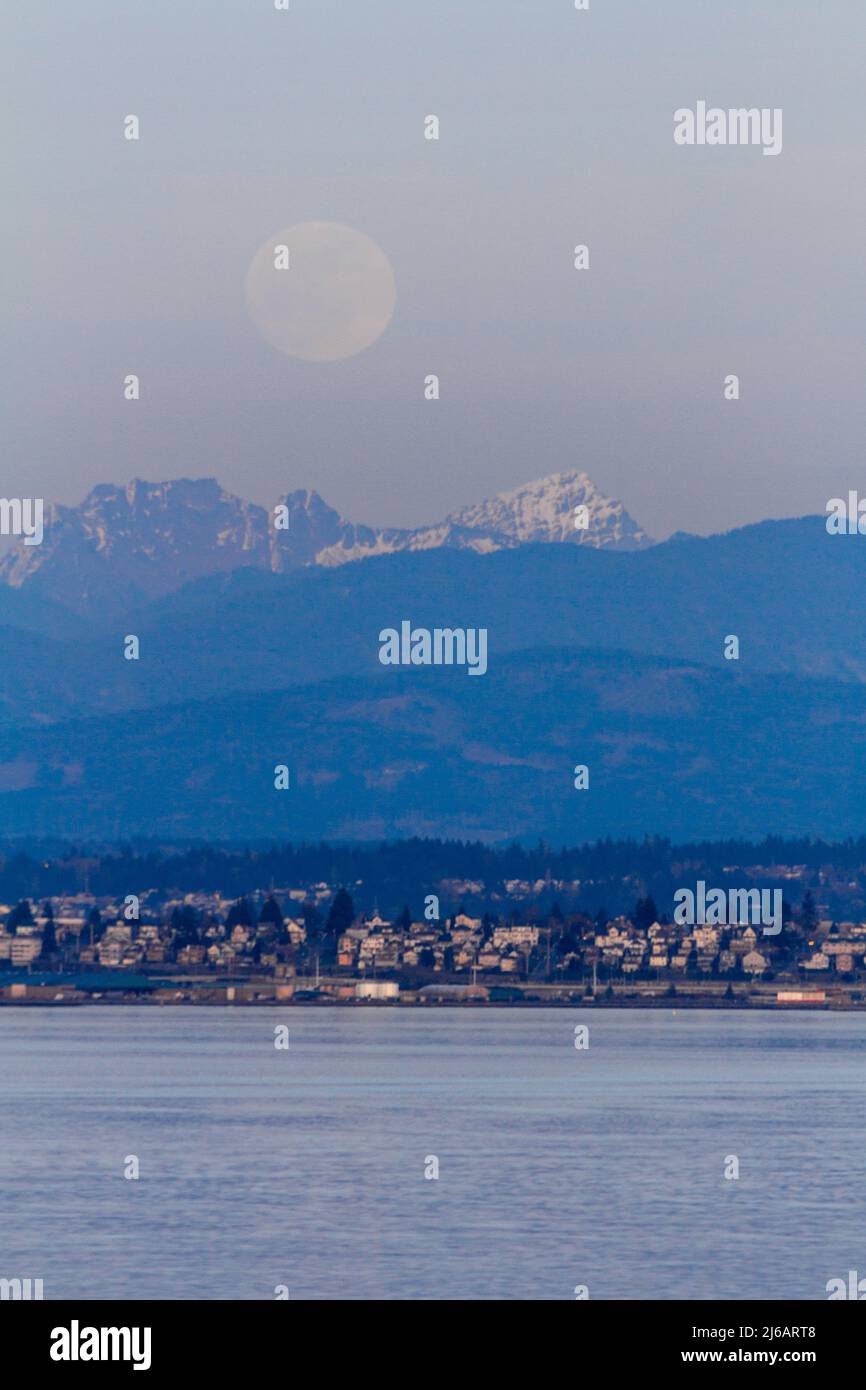 Susan carey High Resolution Stock Photography and Images - Alamy
