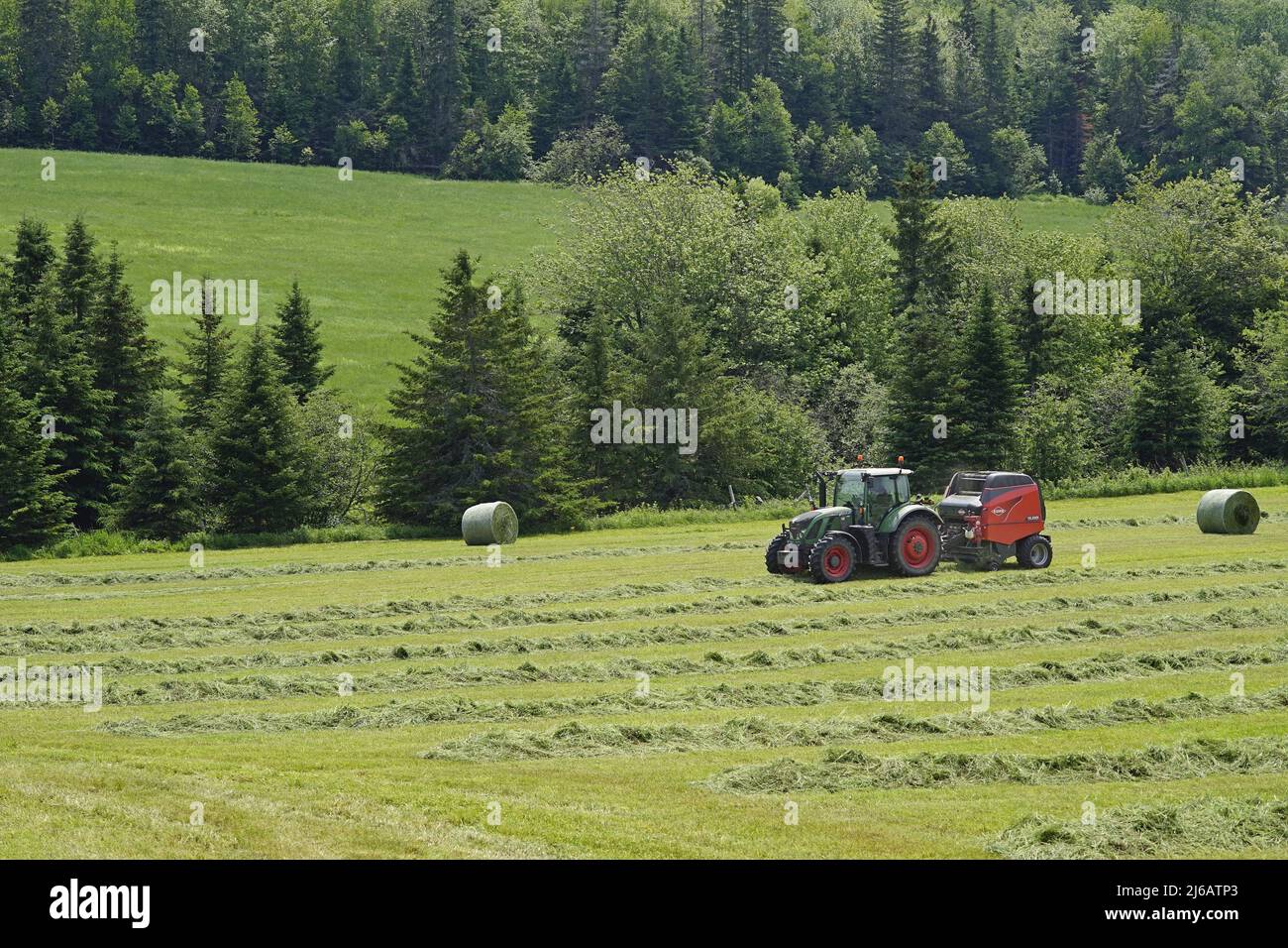 Farmer bailing hay hi-res stock photography and images - Alamy
