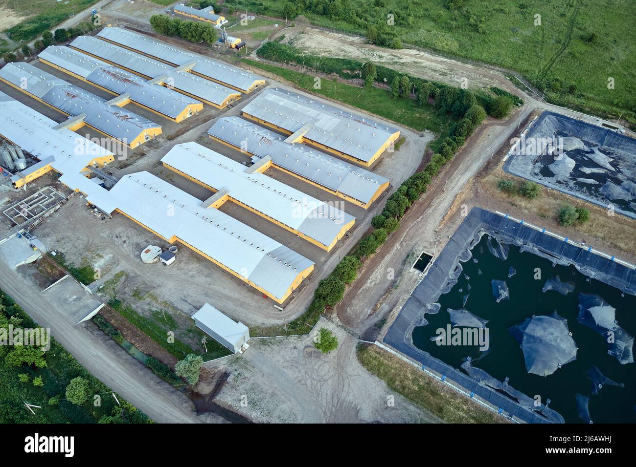 Aerial view of cattle farm buildings between green farmlands Stock ...