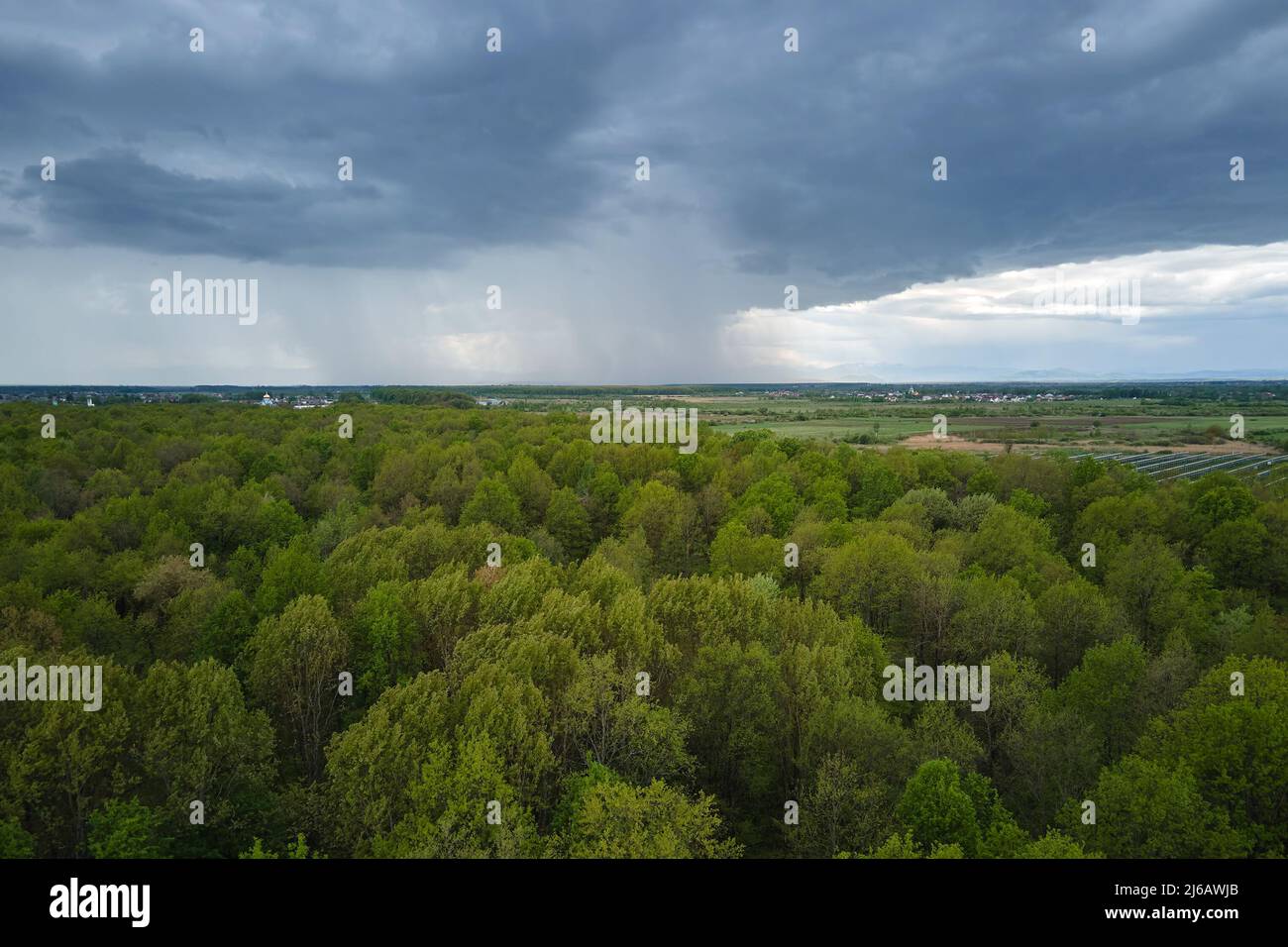 Aerial view of dark green lush forest with dense trees canopies in ...