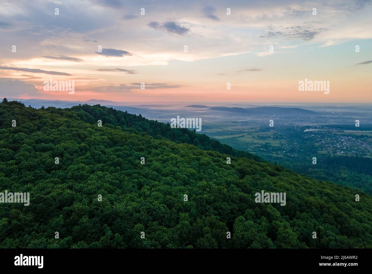 Aerial view of green pine forest with dark spruce trees covering ...