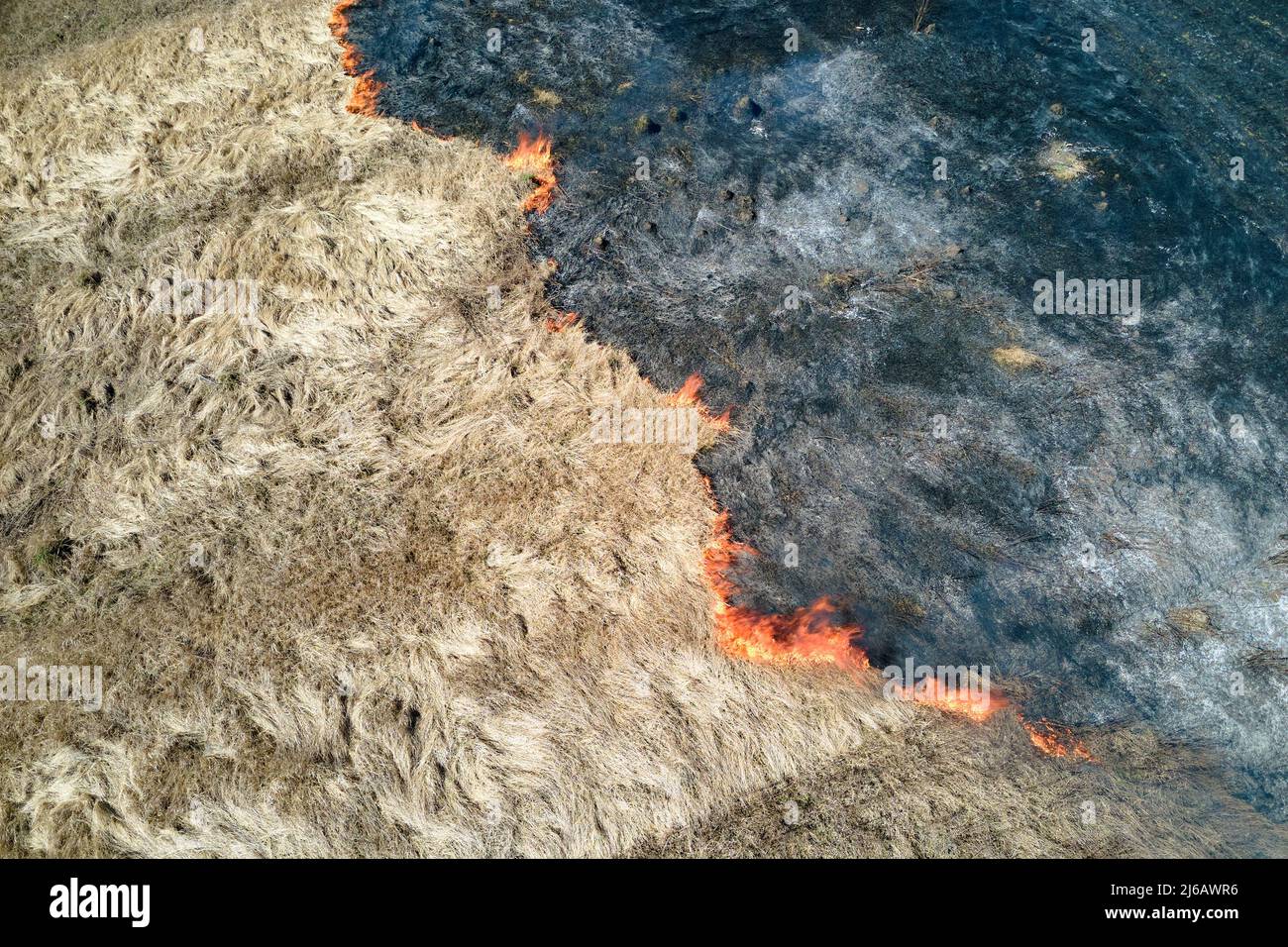 Aerial view of grassland field burning with red fire during dry season ...