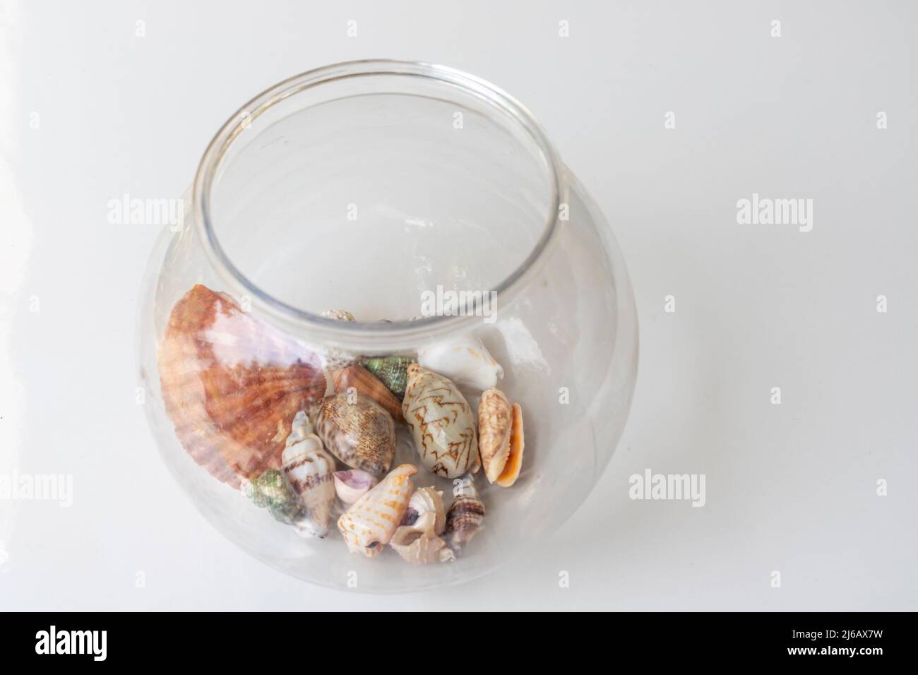 Sea shells in a transparent jar Stock Photo - Alamy