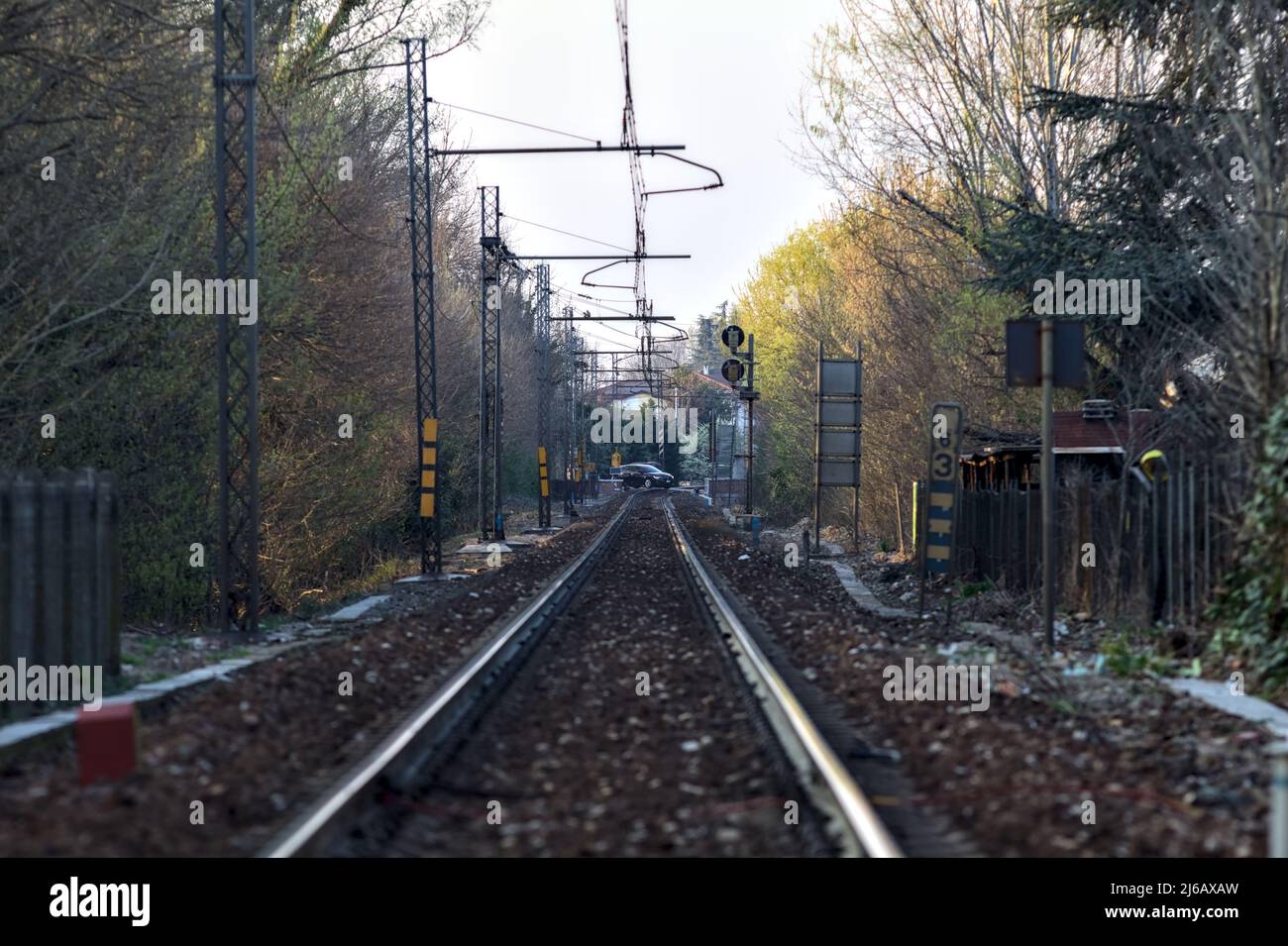 Railroad track in a forest with a crossing in the distance at sunset ...