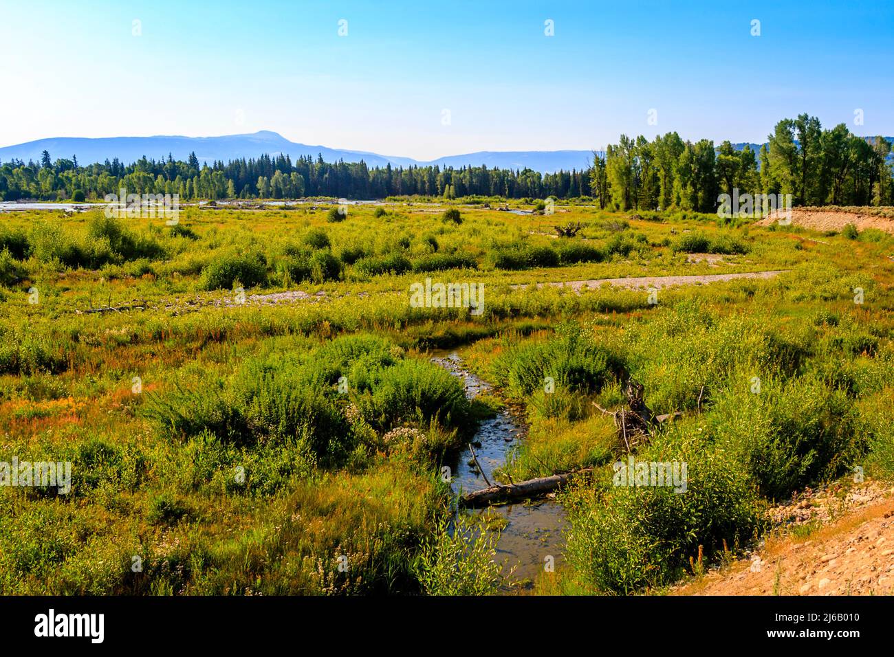 Snake bar open hi-res stock photography and images - Alamy