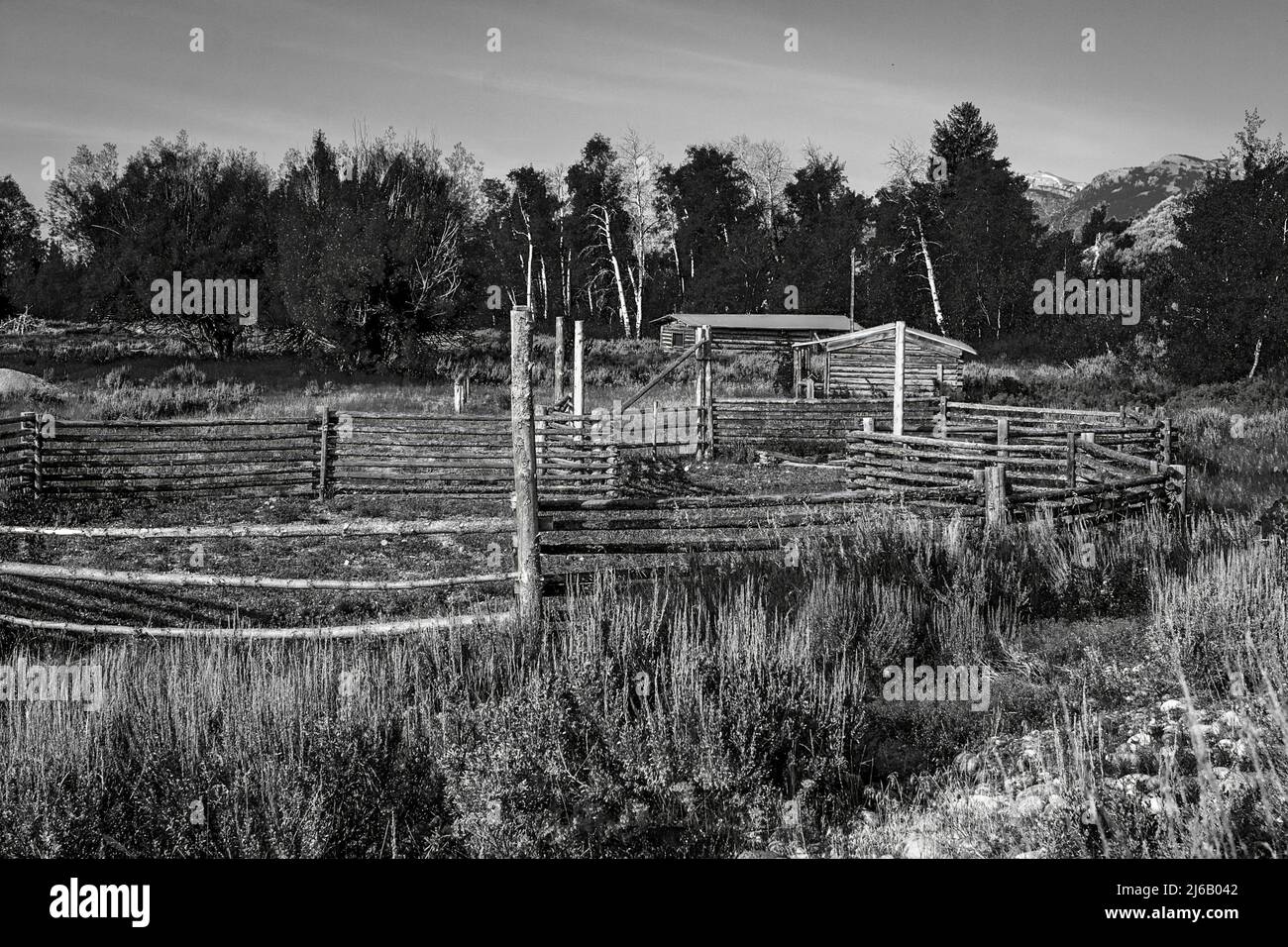 Snake fence hi-res stock photography and images - Alamy