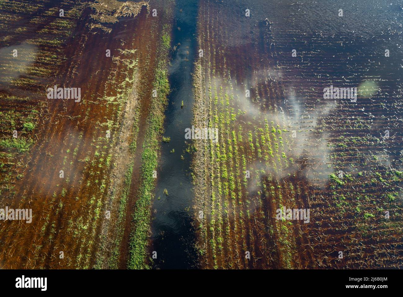Crops destroyed by flooding hi-res stock photography and images - Alamy