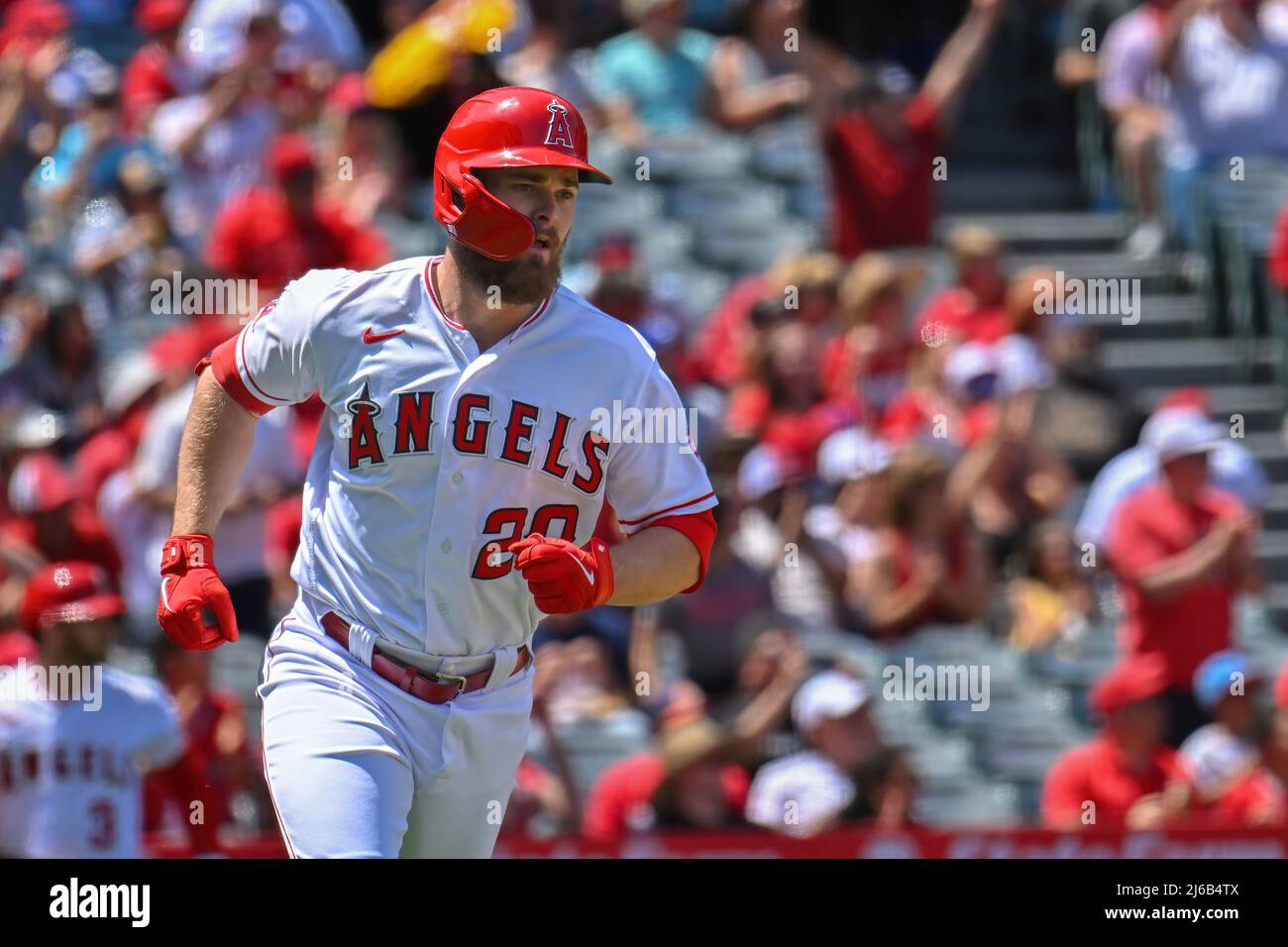 Jared walsh hi-res stock photography and images - Alamy